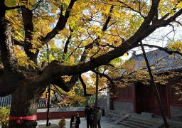 Xiangjie Temple: A Majestic Monastery Among the Eight Great Sites