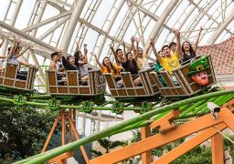 Mini Roller Coaster