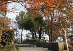 Dazhang Mountain Wolong Valley: A Scenic Paradise for All Seasons