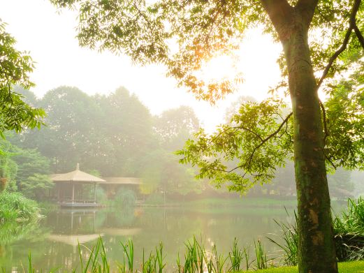 Friendship Park - Natural Beauty and Recreation